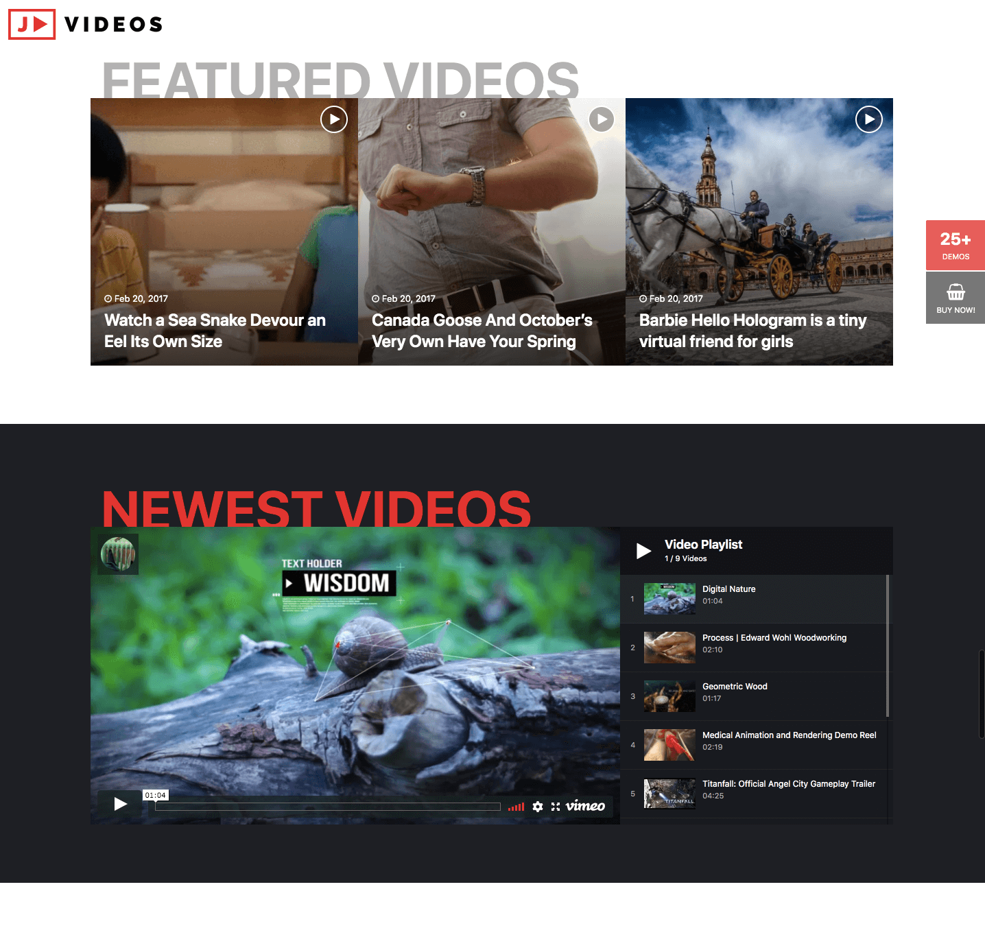 15 Amazing WordPress Themes That Has Video In Header