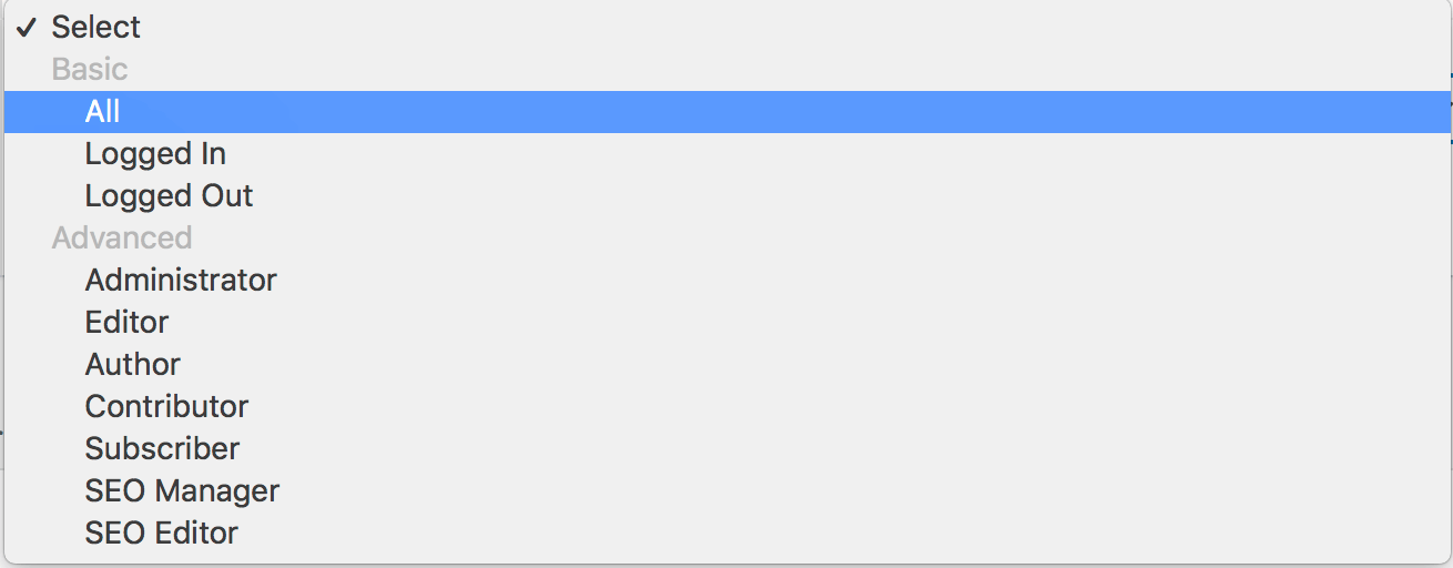 How To Show Last Updated Date In Astra WordPress Theme?